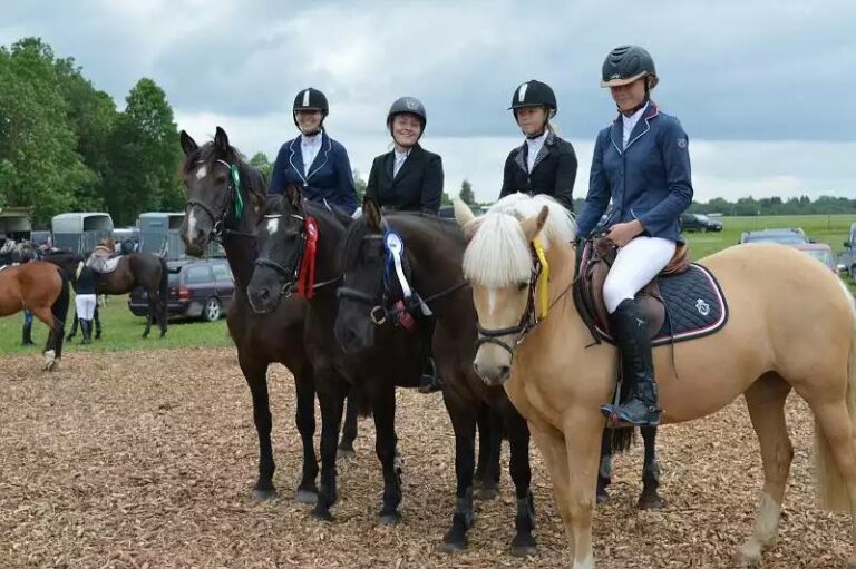 Ratsakool | Tondi Maneež